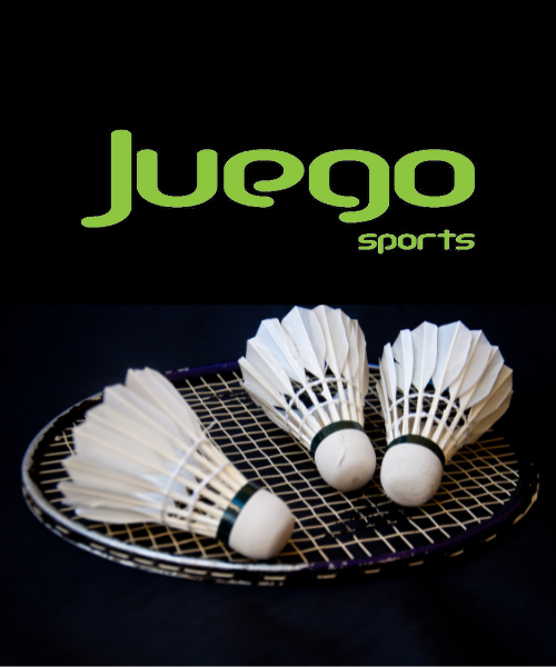 JOOLA Pickleball Paddle Collection | JUEGO - Premium Quality for Every ...